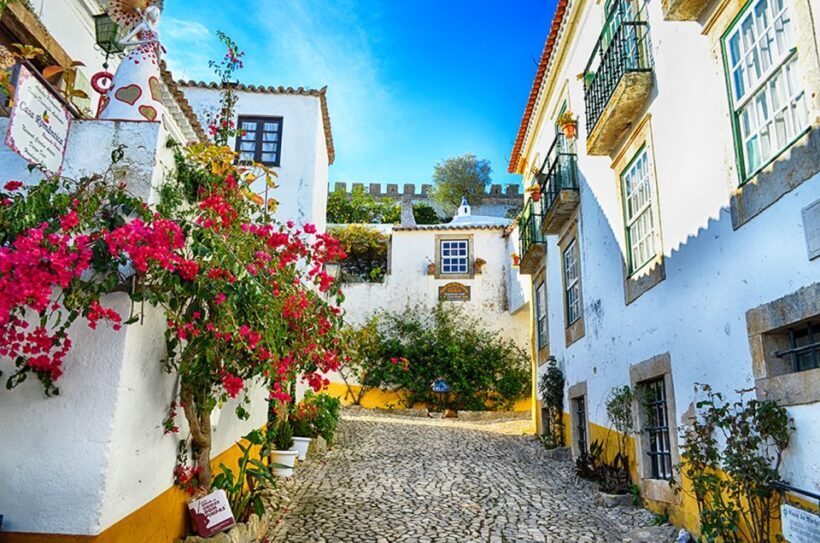 From Lisbon: Nazaré and Óbidos Private Tour in a premium car - An In-Depth Look at the Tour Experience