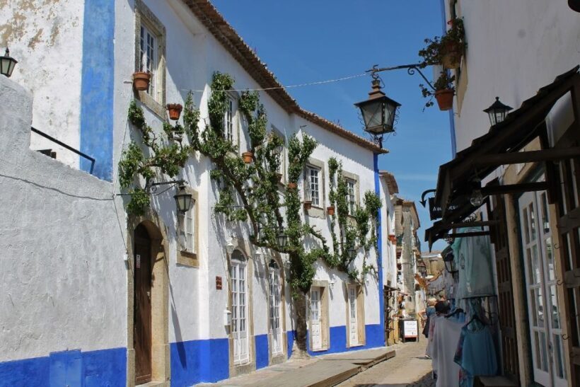 From Lisbon: Óbidos and Mafra Palace Private Tour - Key Points