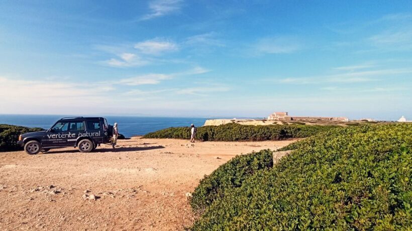 From Lisbon or Sesimbra: 4x4 Tour to Cape Espichel - Key Points