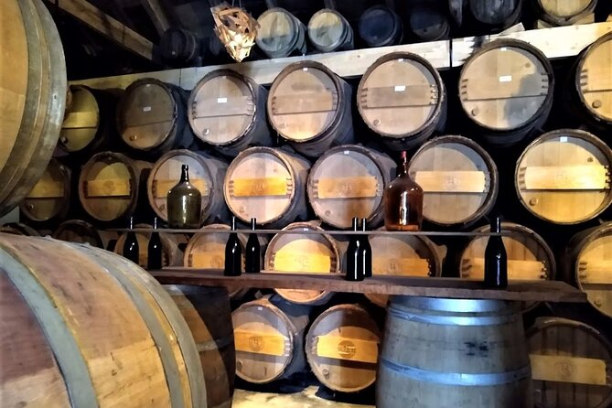 From Lisbon: Palmela-Setúbal Wine Tasting Tour (40kms of Lisbon) - Exploring the Palmela-Setúbal Wine Tasting Tour from Lisbon