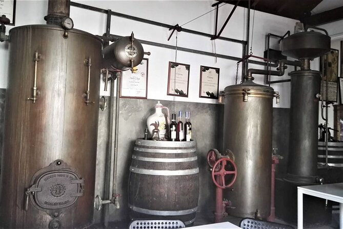 From Lisbon: Palmela-Setúbal Wine Tasting Tour (40kms of Lisbon) - The Value of This Wine Trip
