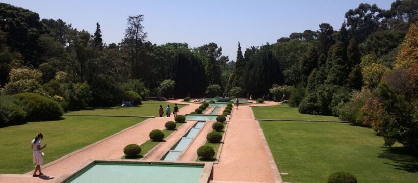 From Lisbon: Porto Private Full-Day Tour - The Sum Up: Who Should Consider This Tour?
