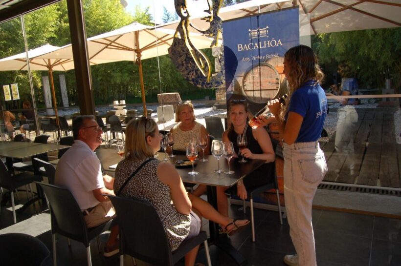 From Lisbon: Private Wine Tour with Wine & Cheese Tasting - Exploring the Itinerary: What Makes Each Stop Special