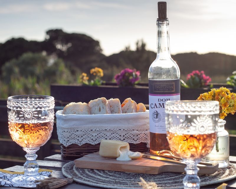 From Lisbon: Private Wine Tour with Wine & Cheese Tasting - Who Will Love This Tour?