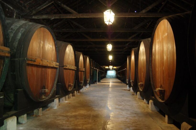 From Lisbon: Private Wine Tour with Wine & Cheese Tasting - The Bottom Line