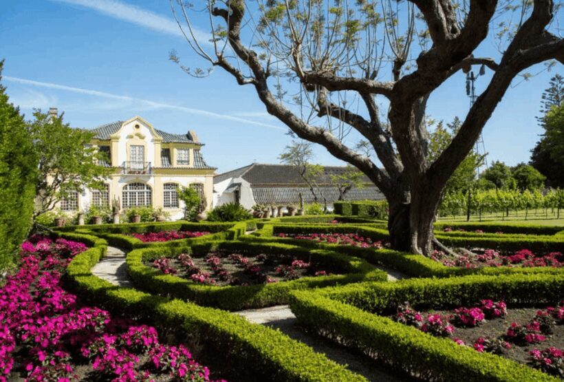 From Lisbon: Serra da Arrábida and Setúbal Wines - Key Points