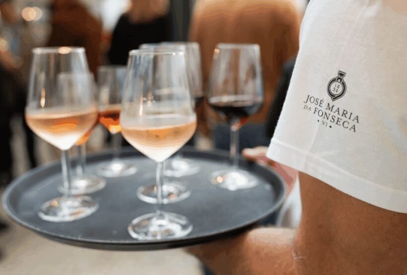 From Lisbon: Serra da Arrábida and Setúbal Wines - FAQ