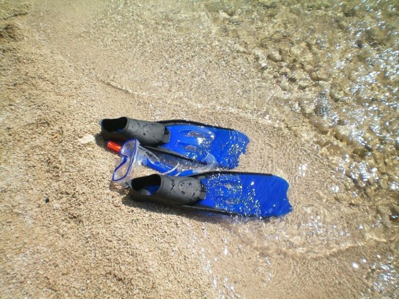 From Lisbon: Sesimbra Wild Beach Tour - From Lisbon: Sesimbra Wild Beach Tour – An Authentic Day in Nature