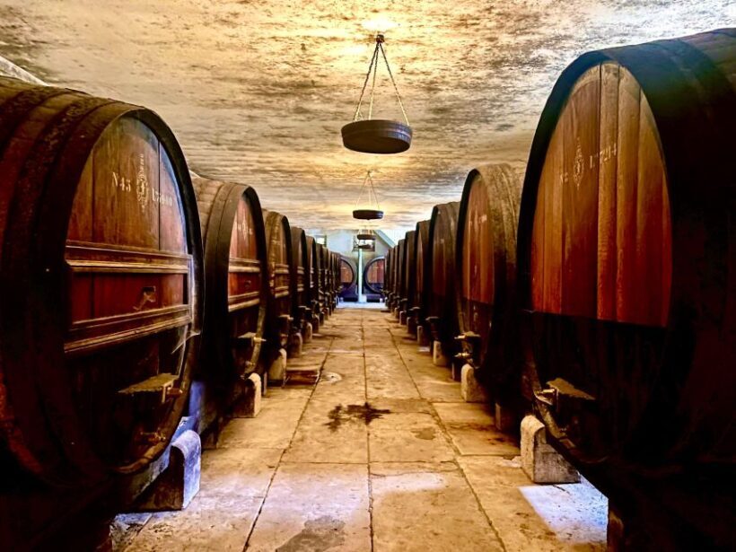 From Lisbon: Setúbal & Arrábida Wine Tour with Lunch - A Full Day of Scenic Views and Authentic Flavors