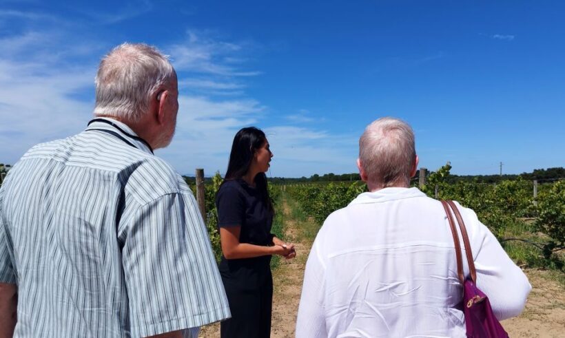 From Lisbon: Setúbal & Arrábida Wine Tour with Lunch - Visiting the Wineries: Tasting & Learning