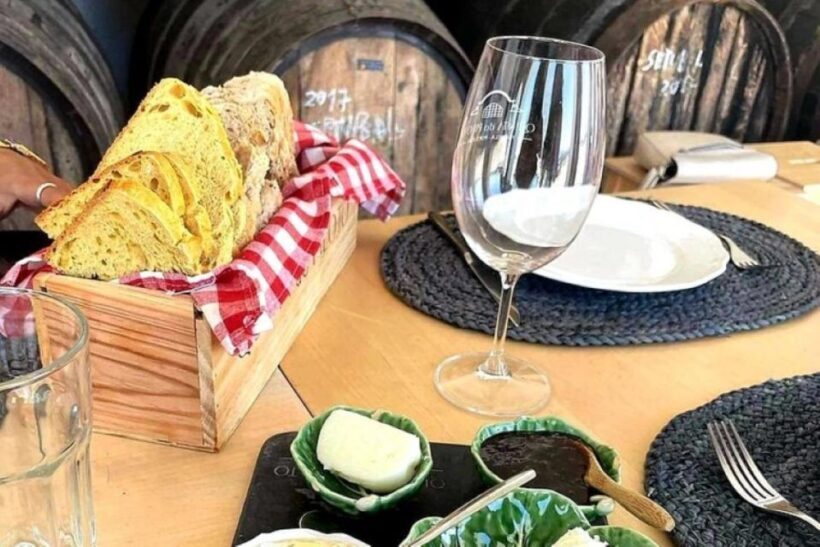 From Lisbon: Setúbal & Arrábida Wine Tour with Lunch - The Sum Up