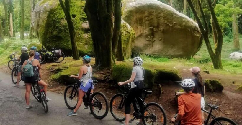 From Lisbon: Sintra and Cascais E-Bike Tour - Who Will Love This Tour?