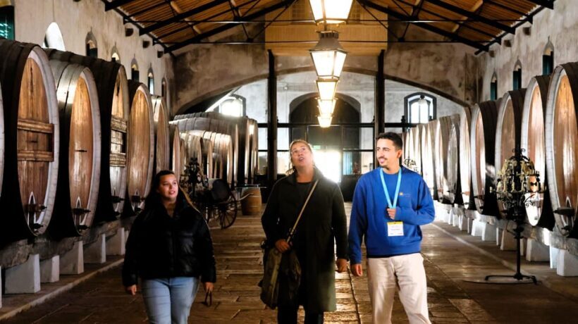 From Lisbon: Sintra, Pena Palace, Cascais and Wine Tasting - Who Would Love This Tour?