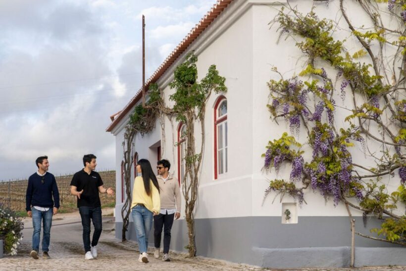 From Lisbon: Sintra & Pena Palace Day Trip with Wine Tasting - Authentic Experiences and Real Travelers’ Insights