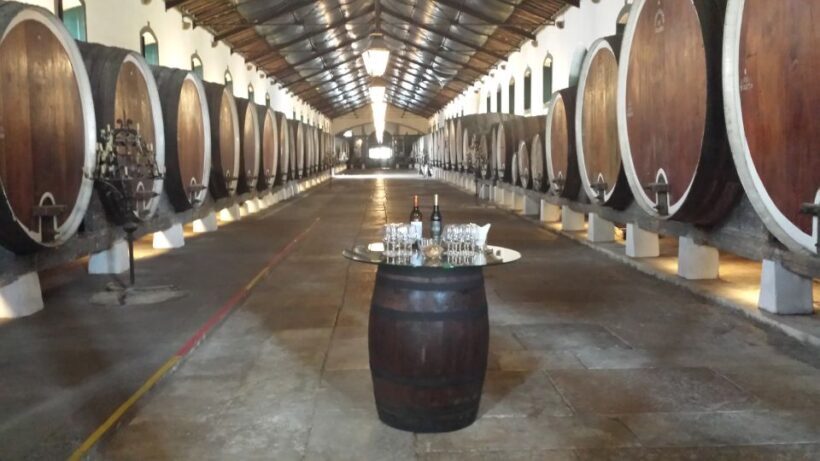 From Lisbon: Sintra Wine Experience - Exploring the Itinerary in Detail