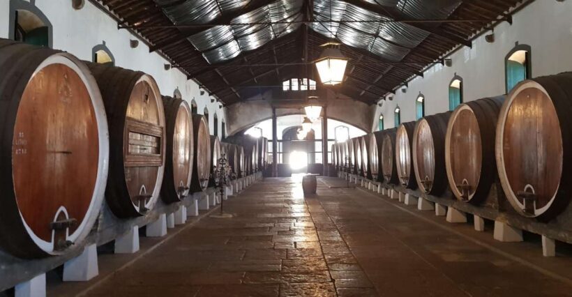 From Lisbon: Sintra Wine Experience - FAQ