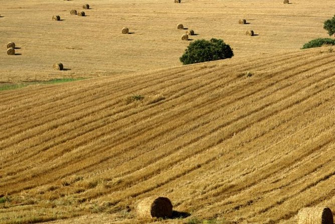 From Lisbon to Alentejo: Évora and Megaliths Full-Day Tour - Itinerary Highlights