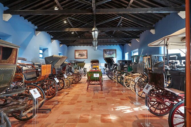 From Lisbon to Evora with Visits and Wine Tasting Guided Tour - The Sum Up: Who Is This Tour Best For?