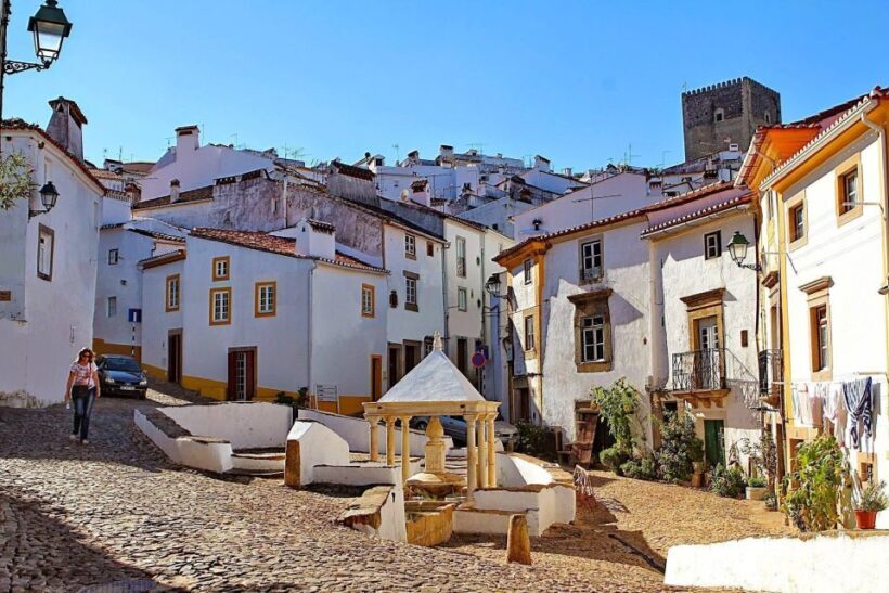 From Lisbon: Town-Hopping Transfer to Porto - Authentic Experiences and Practical Insights