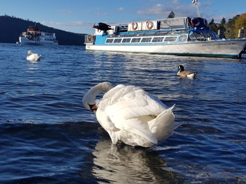 From Liverpool: Lake District Sightseeing Adventure Day Trip - The Itinerary in Detail