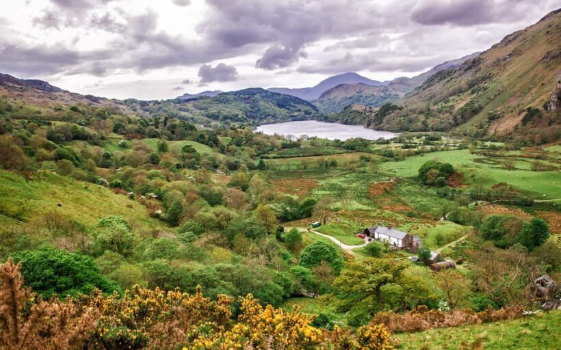 From Liverpool: North Wales Day Trip with Driver-Guide - What’s Included and What’s Not