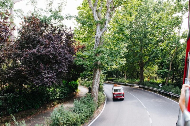 From Livorno: Florence Hop-On Hop-Off Shore Excursion - Who Should Consider This Tour?