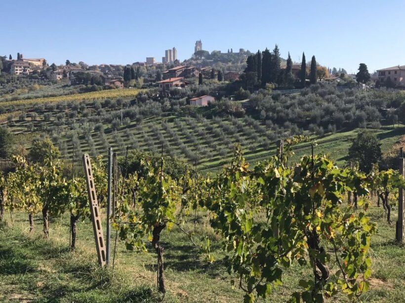 From Livorno: Shore Excursion to Chianti and San Gimignano - Exploring Tuscany’s Highlights: A Detailed Look