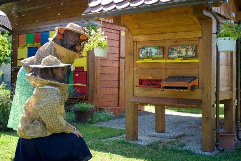 From Ljubljana: All About Bees - Exploring the Tour: A Step-by-Step Breakdown