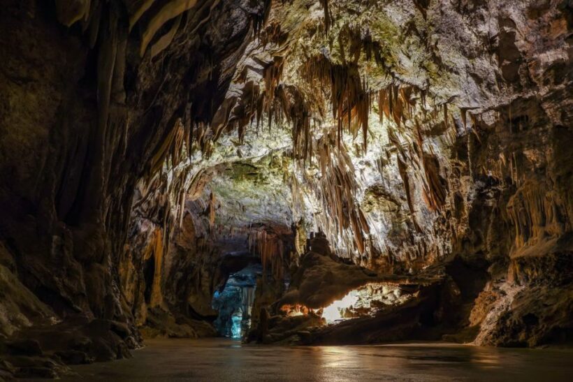 From Ljubljana: Lake Bled & Postojna Cave with Entry Tickets - Key Points