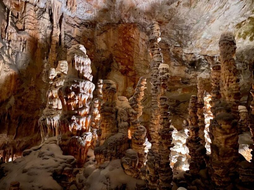 From Ljubljana: Postojna Cave Day Trip - The Itinerary Breakdown: What You Can Expect