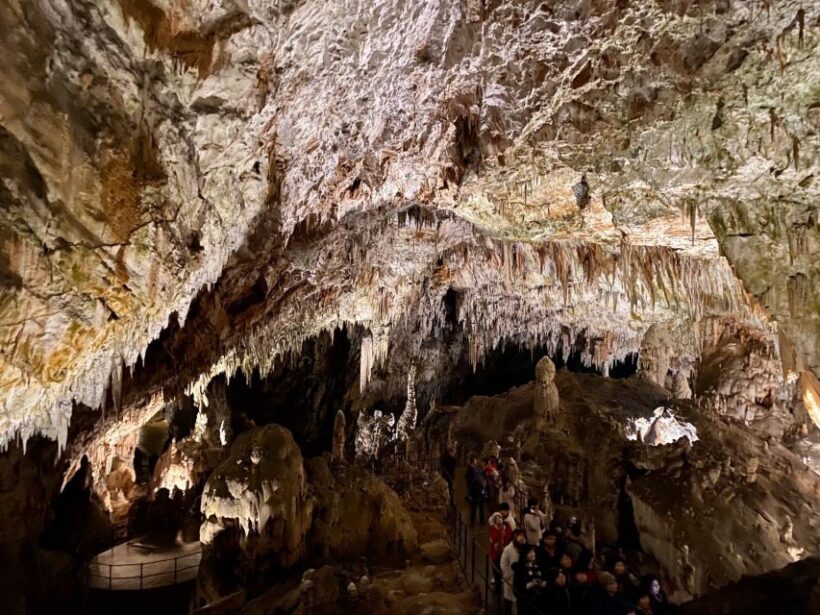 From Ljubljana: Postojna Cave Day Trip - What Travelers Say and What It Means for You