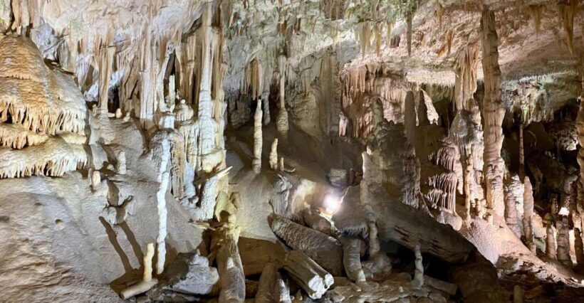 From Ljubljana: Postojna Cave Day Trip - Practical Tips for Your Tour