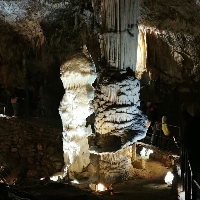 From Ljubljana: Postojna Cave & Predjama Castle Guided Trip - The Sum Up