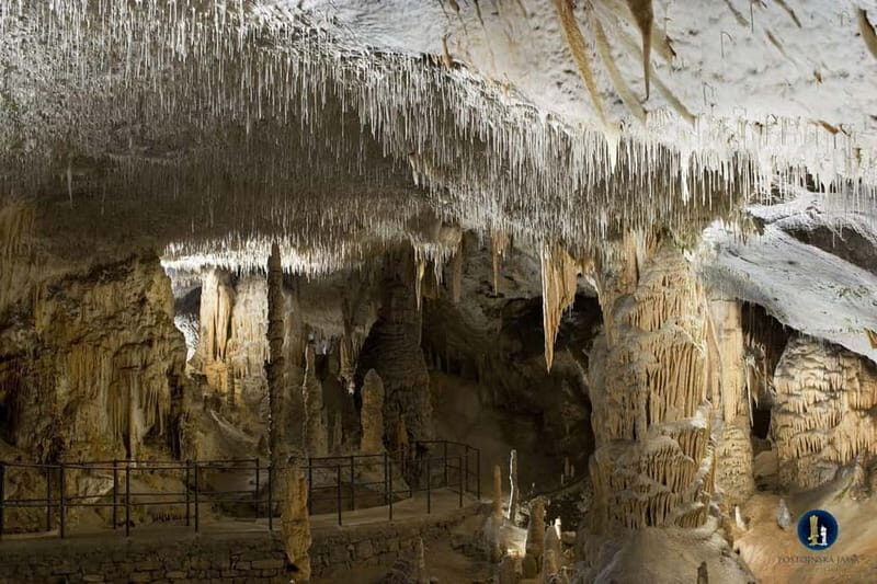 From Ljubljana: Postojna Cave, Predjama Castle, & Piran Tour - Who Will Love This Tour?