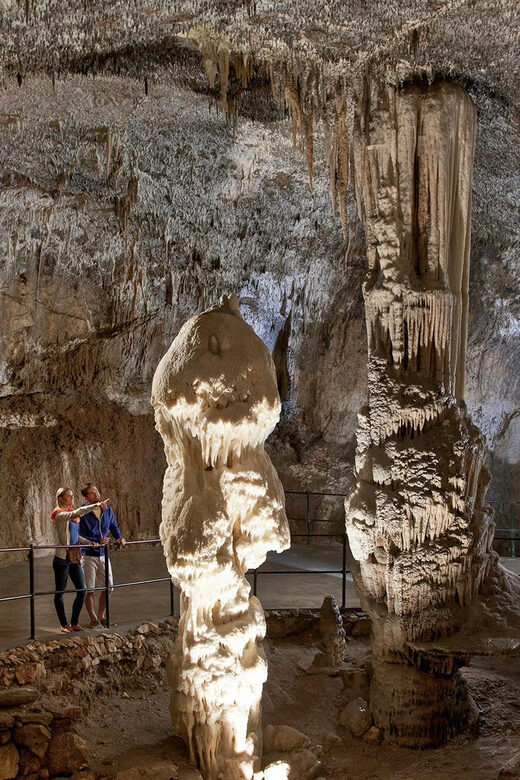 From Ljubljana: Postojna Cave, Predjama Castle, & Piran Tour - FAQ