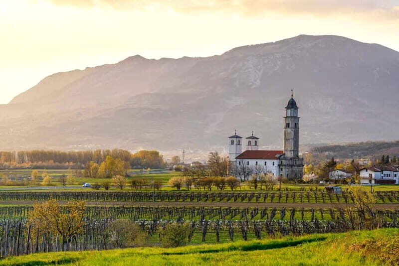 From Ljubljana: Vipava Valley Wine Express Tour - A Deep Dive into the Vipava Valley Wine Express Tour