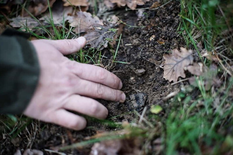 From location: Truffle farm visit, culinary workshop, meal - Who Will Love This Experience?