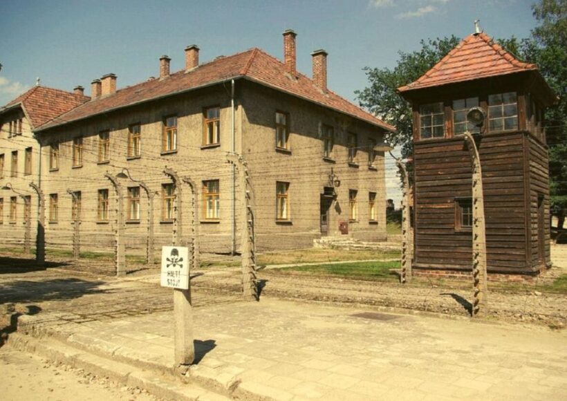 From Lodz: Auschwitz-Birkenau Small-Group Tour with Lunch - Key Points