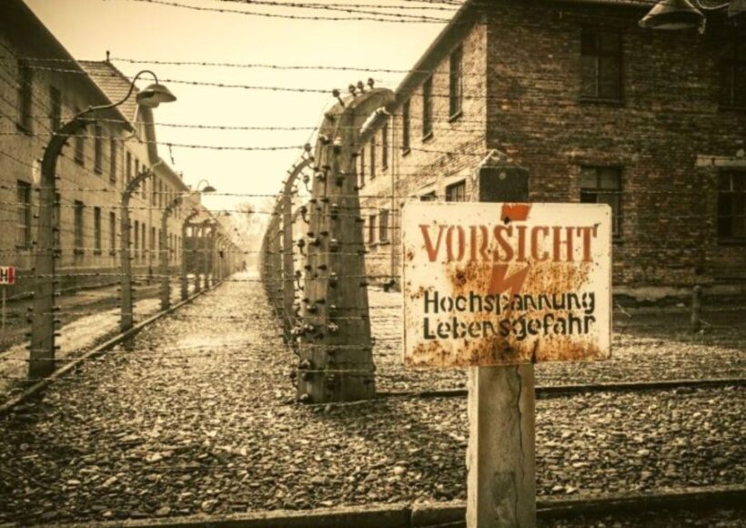 From Lodz: Auschwitz-Birkenau Small-Group Tour with Lunch - An In-Depth Look at the Auschwitz-Birkenau Tour from Lodz