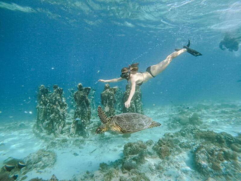 From Lombok: 3 Gili Islands Private Snorkeling Adventure - Detailed Breakdown of the Itinerary