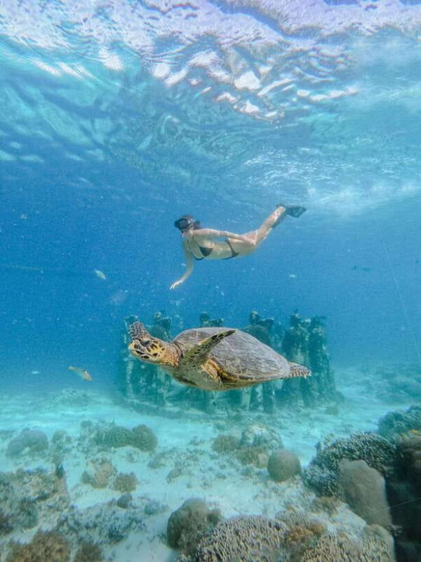 From Lombok: 3 Gili Islands Private Snorkeling Adventure - Who Will Love This Tour?