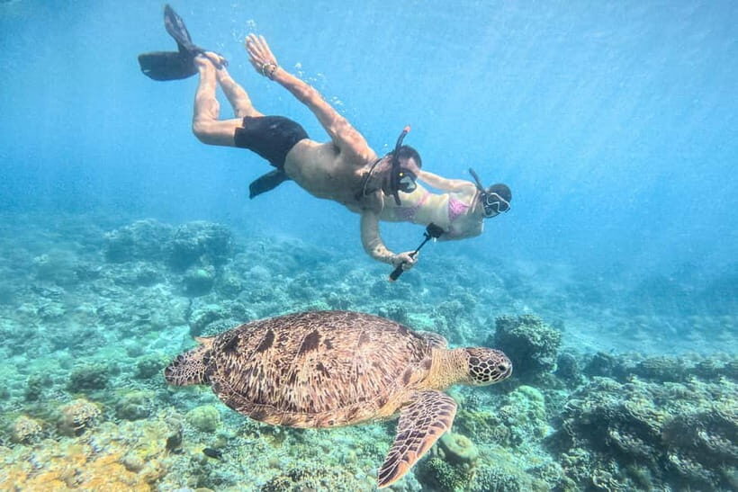 From Lombok: Full-Day Gili Gede, Rengit, & Layar Island Tour - Detailed Breakdown of the Itinerary