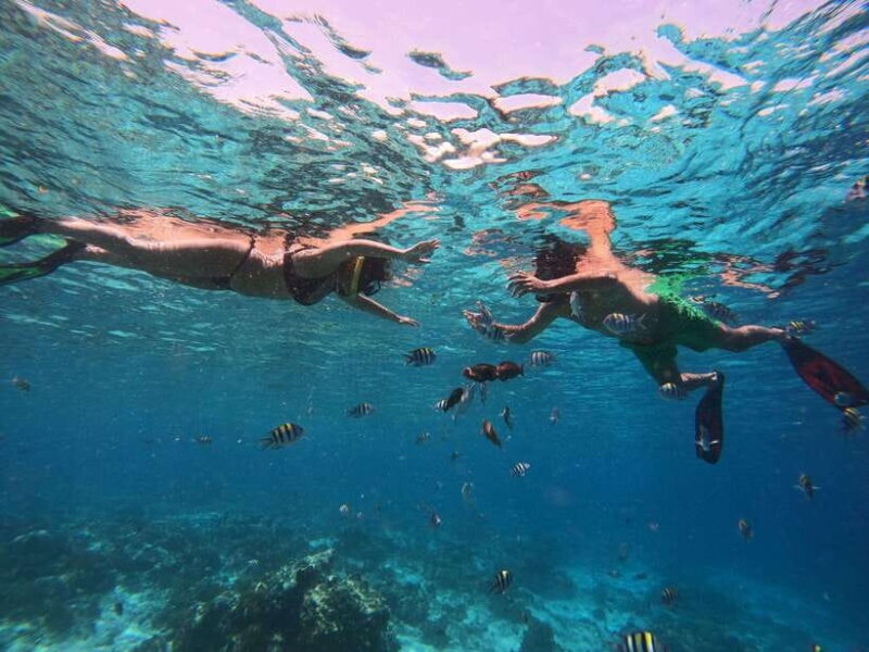 From Lombok: Gili Islands Snorkeling Day Trip - Who Should Consider This Tour?