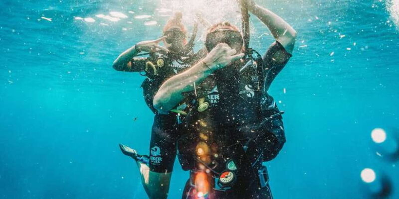 From Lombok: Private Gili Islands Trip w. Glass-Bottom Boat - Key Points