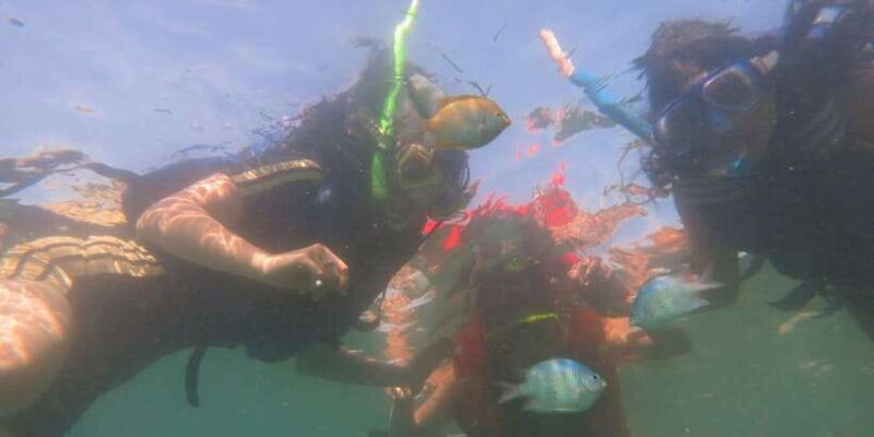 From Lombok: Southern Gilis Private Snorkelling Day Trip - Introduction: Exploring the Beauty of Lombok’s South West Gilis