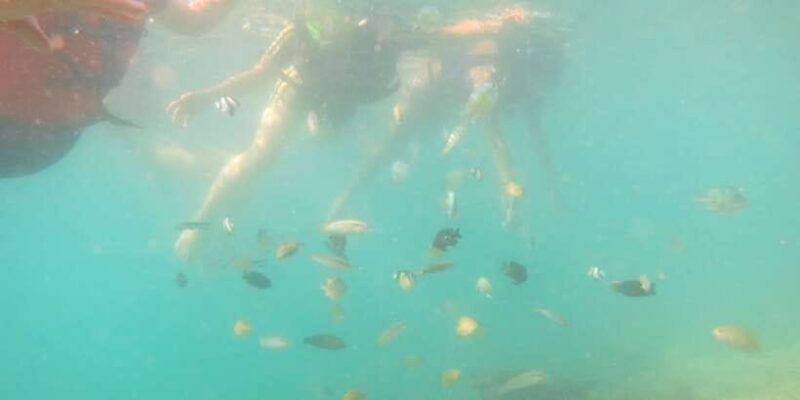 From Lombok: Southern Gilis Private Snorkelling Day Trip - Why This Tour Stands Out