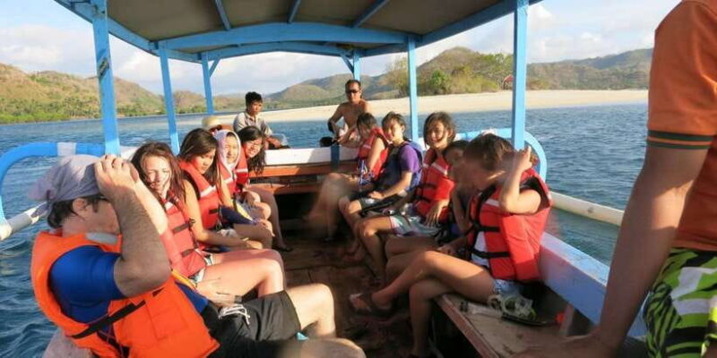 From Lombok: Southern Gilis Private Snorkelling Day Trip - Who Will Love This Tour?