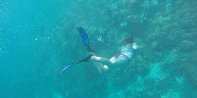 From Lombok: Southern Gilis Private Snorkelling Day Trip - The Sum Up: Is It Worth Your Time?