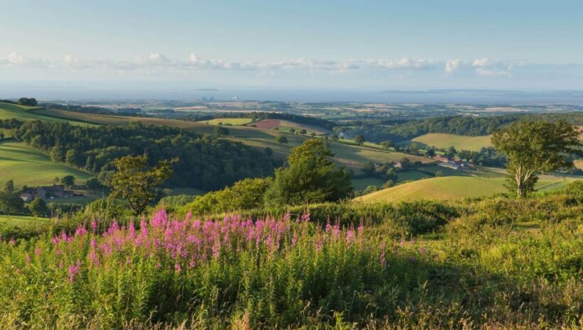 From London: Canterbury & White Cliffs of Dover Tour - Transportation and Group Size