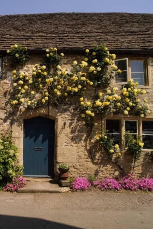 From London: Cotswolds, Country Pub Lunch & Lavender Fields - A Day in the Cotswolds: What to Expect and Why It Matters